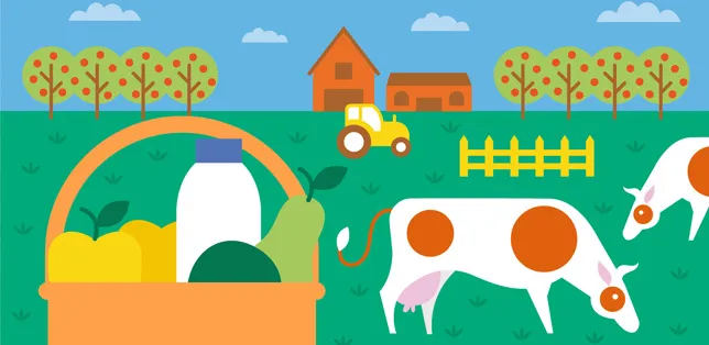 Sai Koushik Gandikota